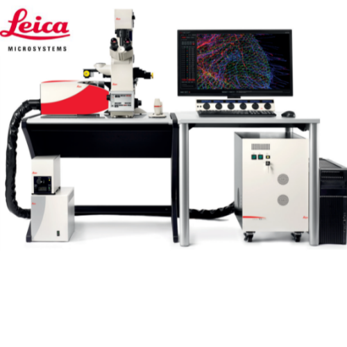 南方医科大学科研仪器共享平台|共聚焦显微镜LEICA SP8 SR